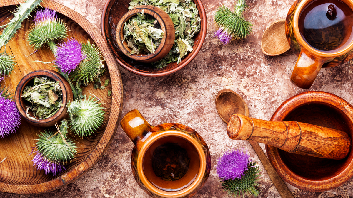 Thistle – Terra Mater Gardens
