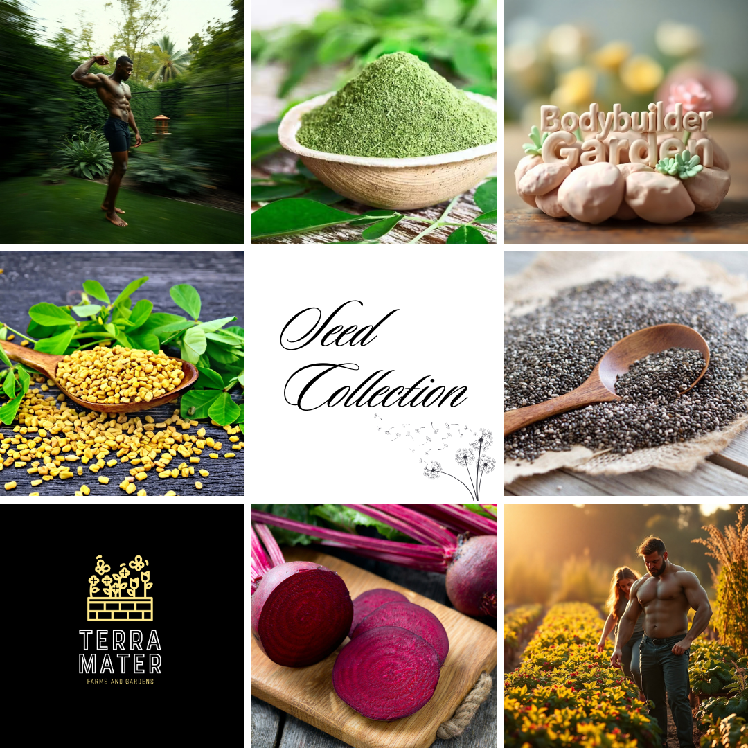 💪 Bodybuilder & Gym Rat Seed Collection 🌱🏋️ – Grow Your Gains Naturall ...