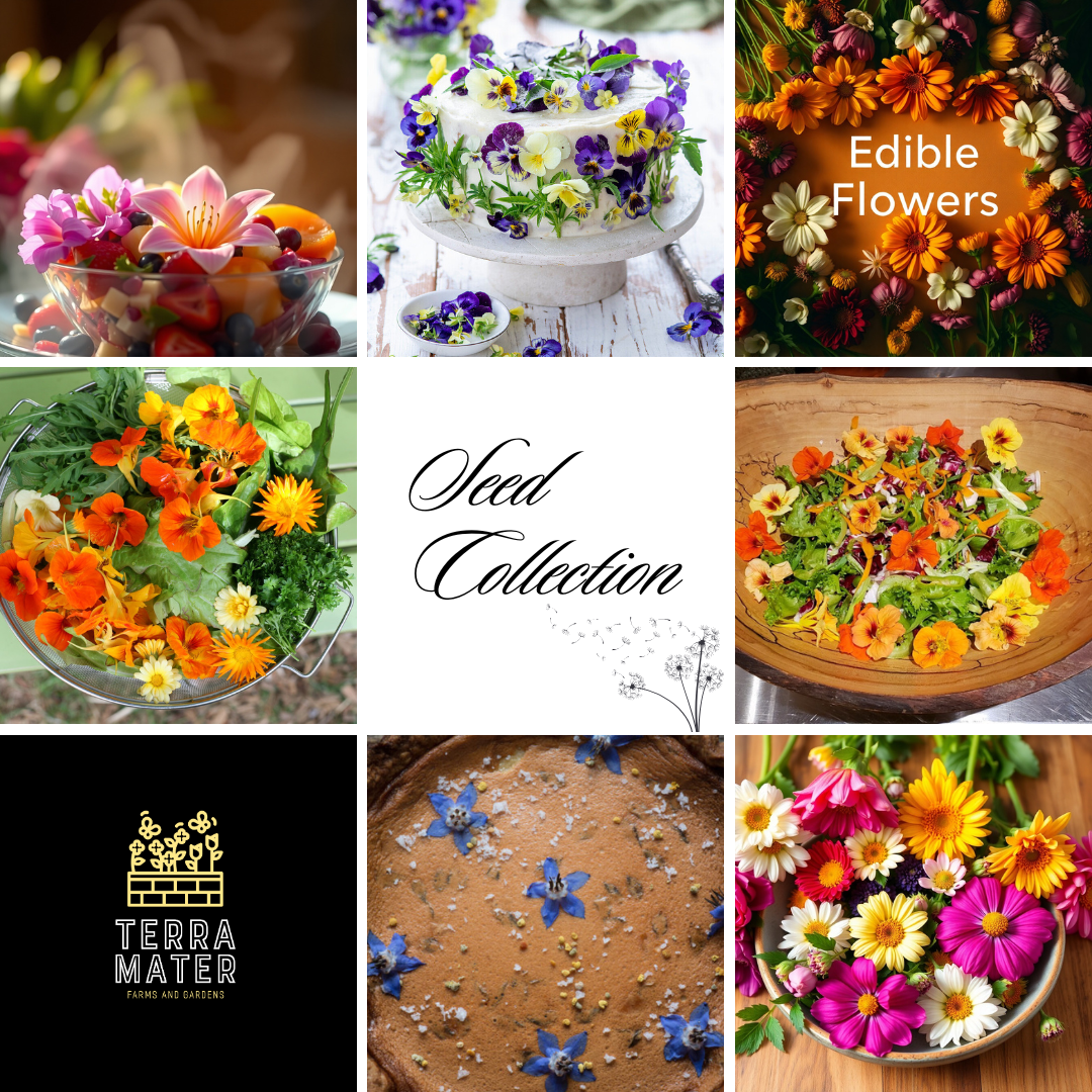 Edible Flower Seed Collection 🌸 | Grow Vibrant & Tasty Blooms for Your ...