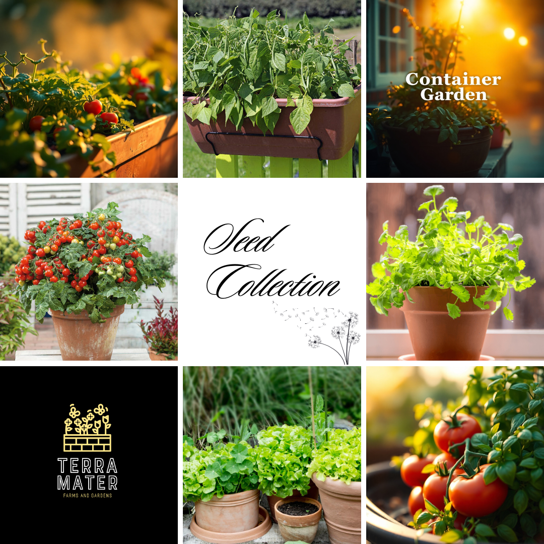 🌿 Container Garden Seed Collection 🏡 Compact, high-yield varieties pe ...