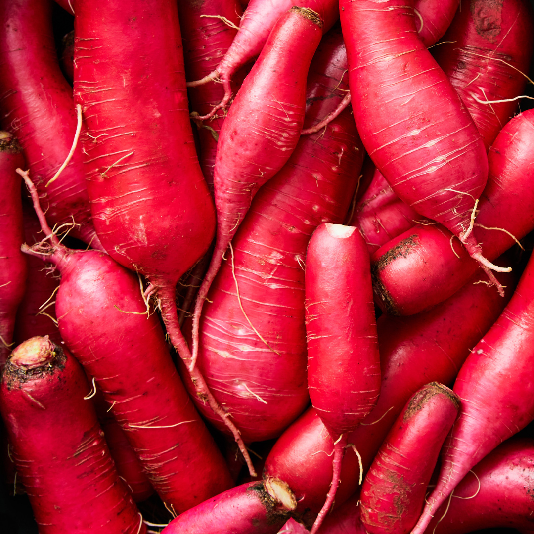 Red Daikon Radish Seeds Organic Heirloom (Raphanus sativus) – 50+ seed ...