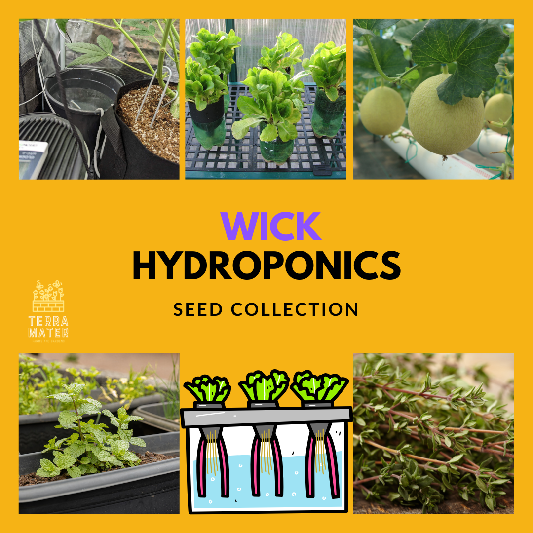 Wick System Seed Collection Low-maintenance crops perfect for passive ...