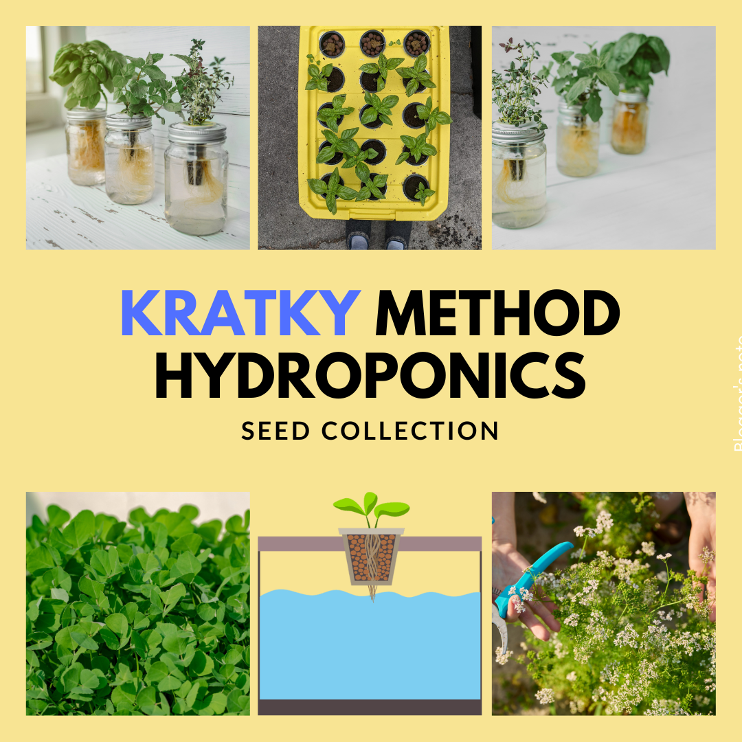 Kratky Method (Passive Hydroponics) Organic Seed Collection No pumps ...