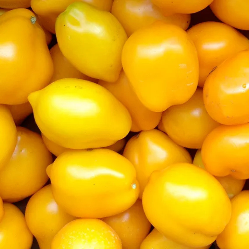 Plum Lemon Tomato Seeds (Organic) (Solanum lycopersicum) – Unique, lem ...