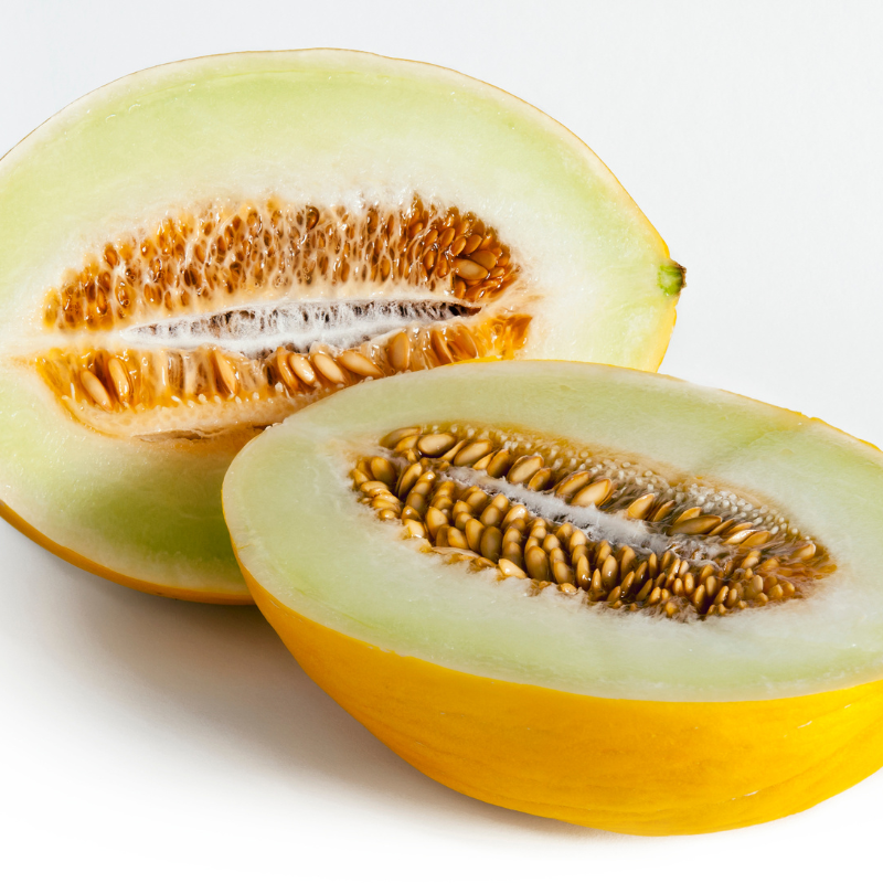 Canary Yellow Melon Organic Seeds (Cucumis melo) – Sweet, bright yello ...