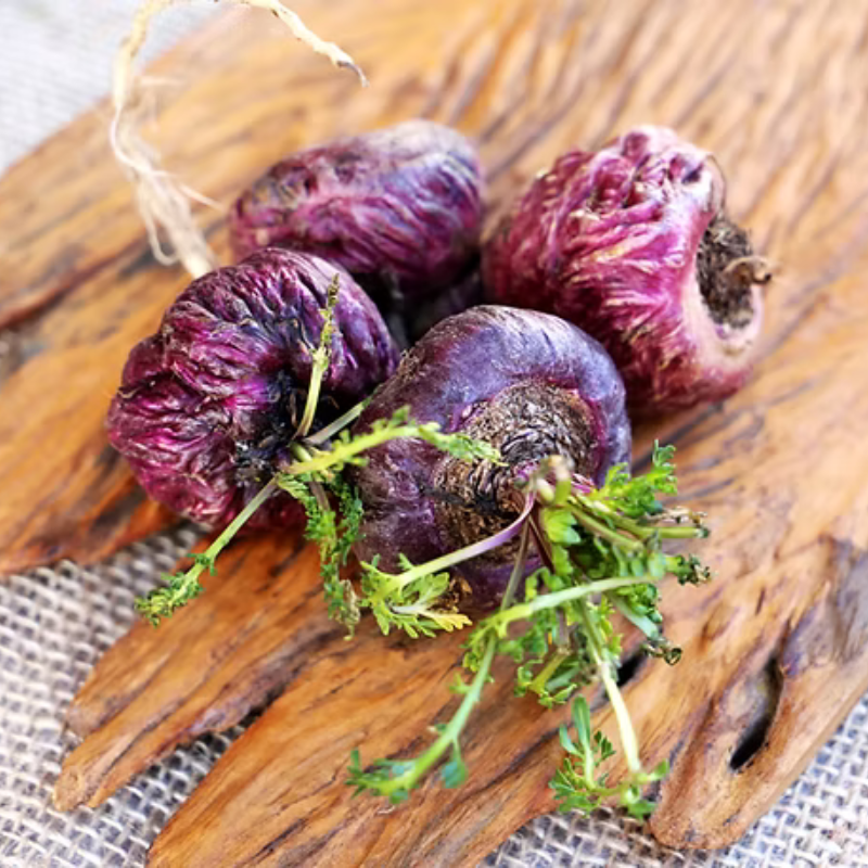 Purple Maca Organic Seeds (Lepidium meyenii) – Hardy, nutrient-rich ro ...