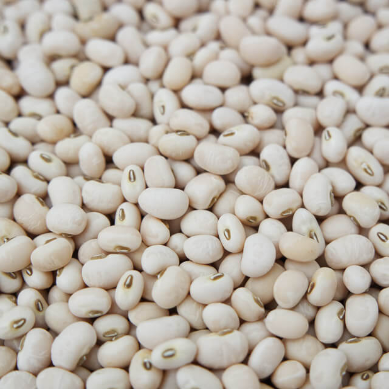Lady Southern Cowpea Organic Seeds (Vigna unguiculata) – This heat-tol ...