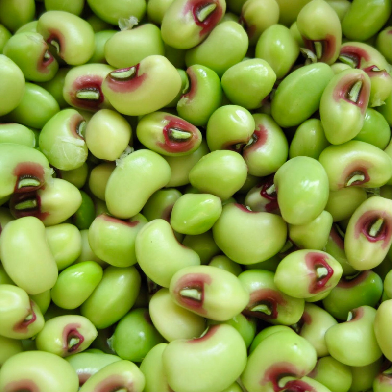 Quick Pick Pinkeye Cowpeas Seeds (Vigna unguiculata) Fast-maturing cow ...