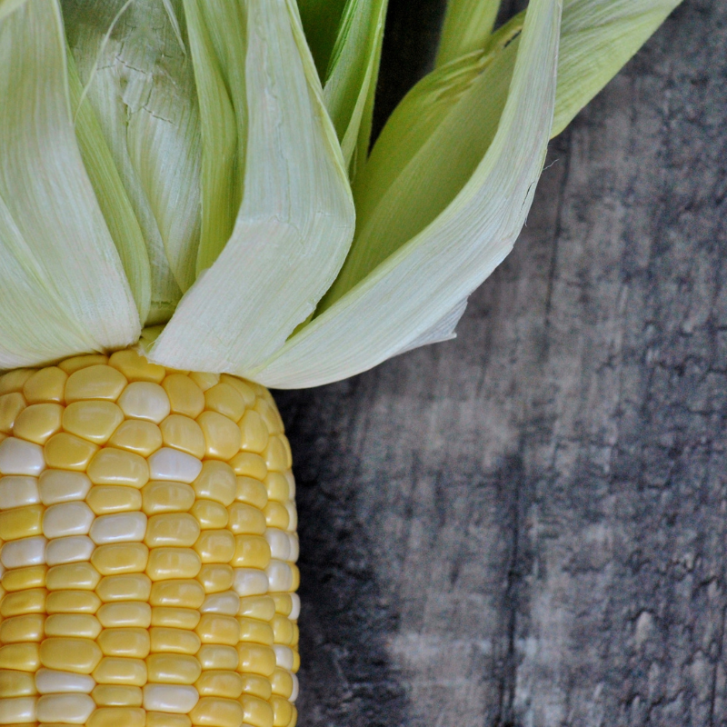 Peaches & Cream Corn Seeds (Zea mays) The popular bicolor sweet corn ...