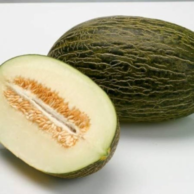 Valencia Early Melon Seeds – OP (Cucumis melo) Open-pollinated orange ...