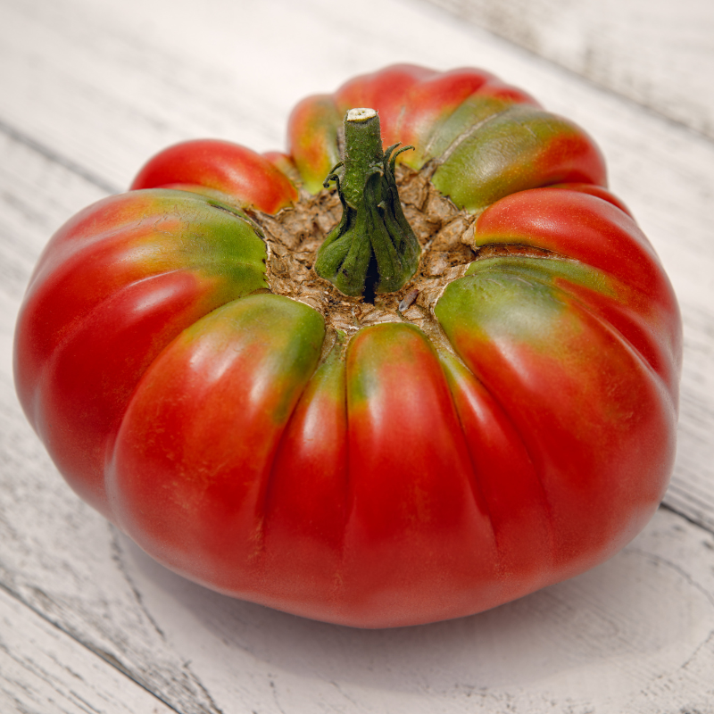 German Johnson Tomato Organic Seeds (Solanum lycopersicum) Big heirloo ...