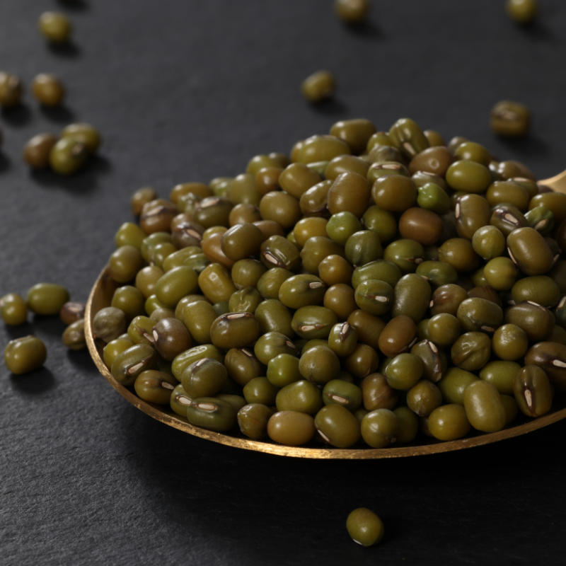 Green Lentil Organic Seeds (Lens culinaris) – Protein-Rich Heirloom Le ...
