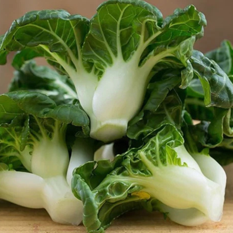 Extra Dwarf Pak Choi Seeds (Brassica rapa subsp. chinensis) Fast-growi ...