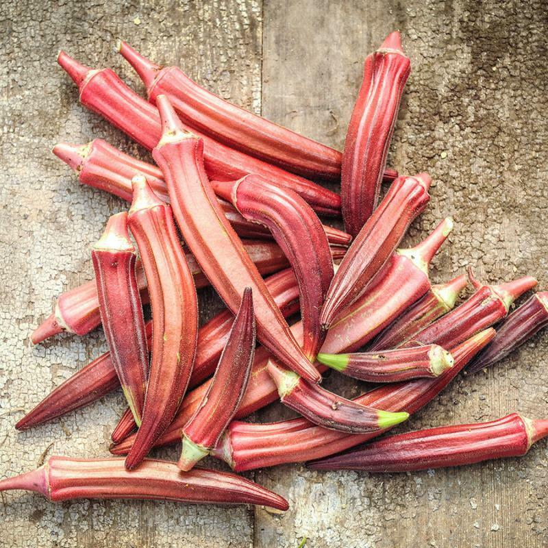 Jing Orange Okra Seeds Organic (Abelmoschus esculentus) – Vibrant oran ...
