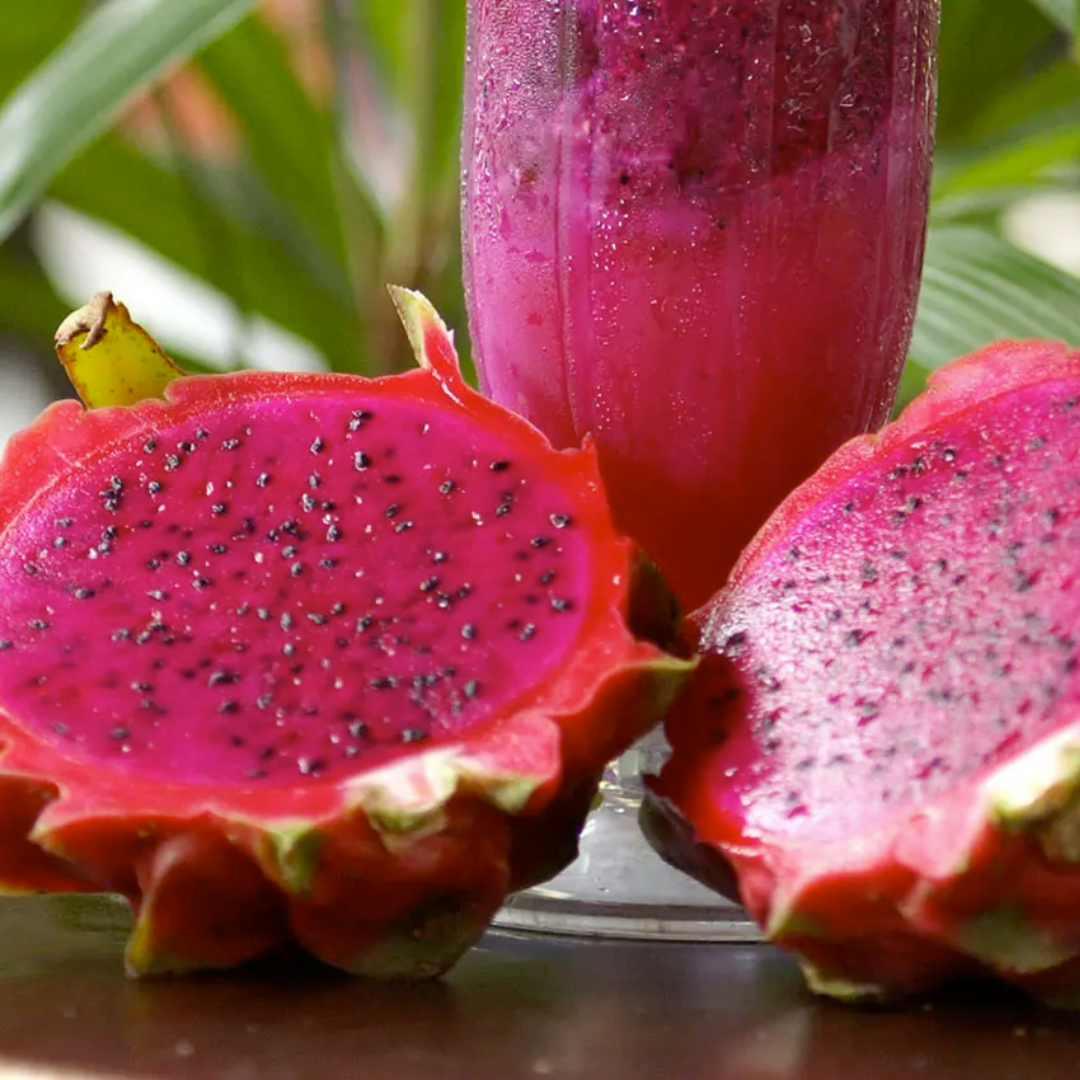 Red Dragon Fruit Seeds (Hylocereus undatus) – Exotic, Tropical Fruit ...
