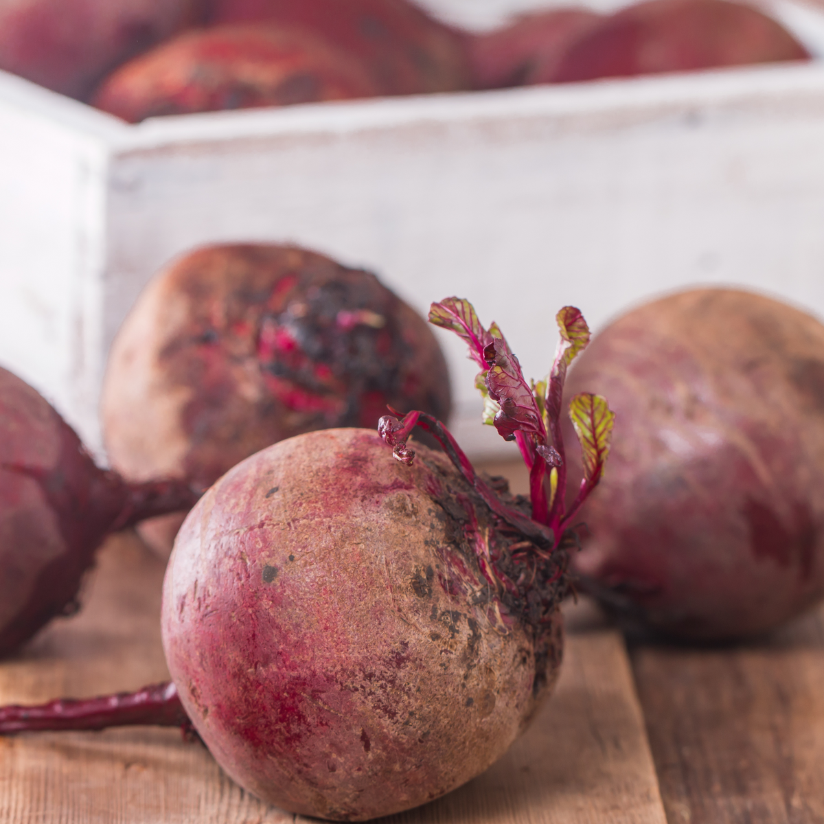 Bulls Blood Beet (Beta vulgaris 'Bulls Blood') Organic Seeds – Strikin ...