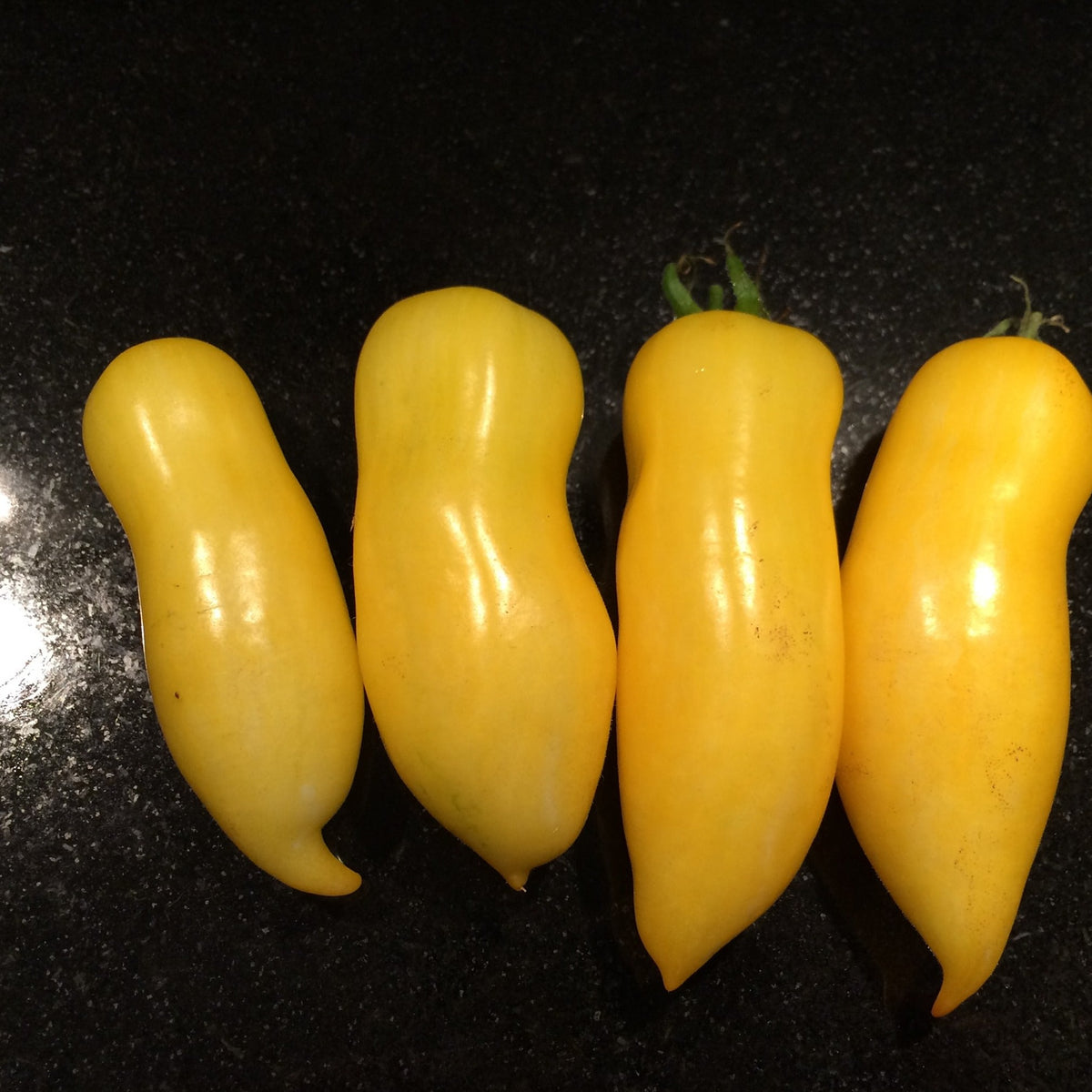 Organic Banana Legs Tomato Seeds (Solanum lycopersicum) – Bright Yello ...
