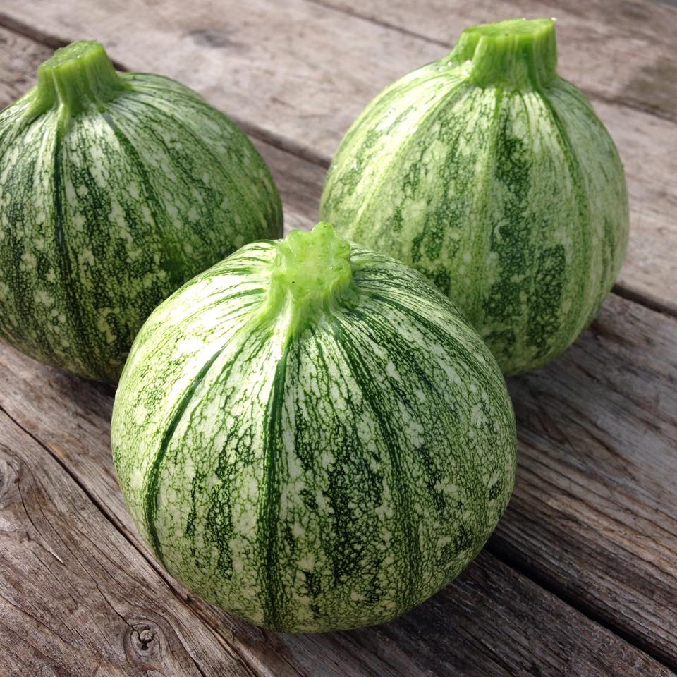 Organic Ronde De Nice Squash Seeds (Cucurbita pepo) – Round French Hei ...